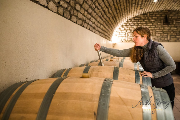Vinification en Centre-Loire