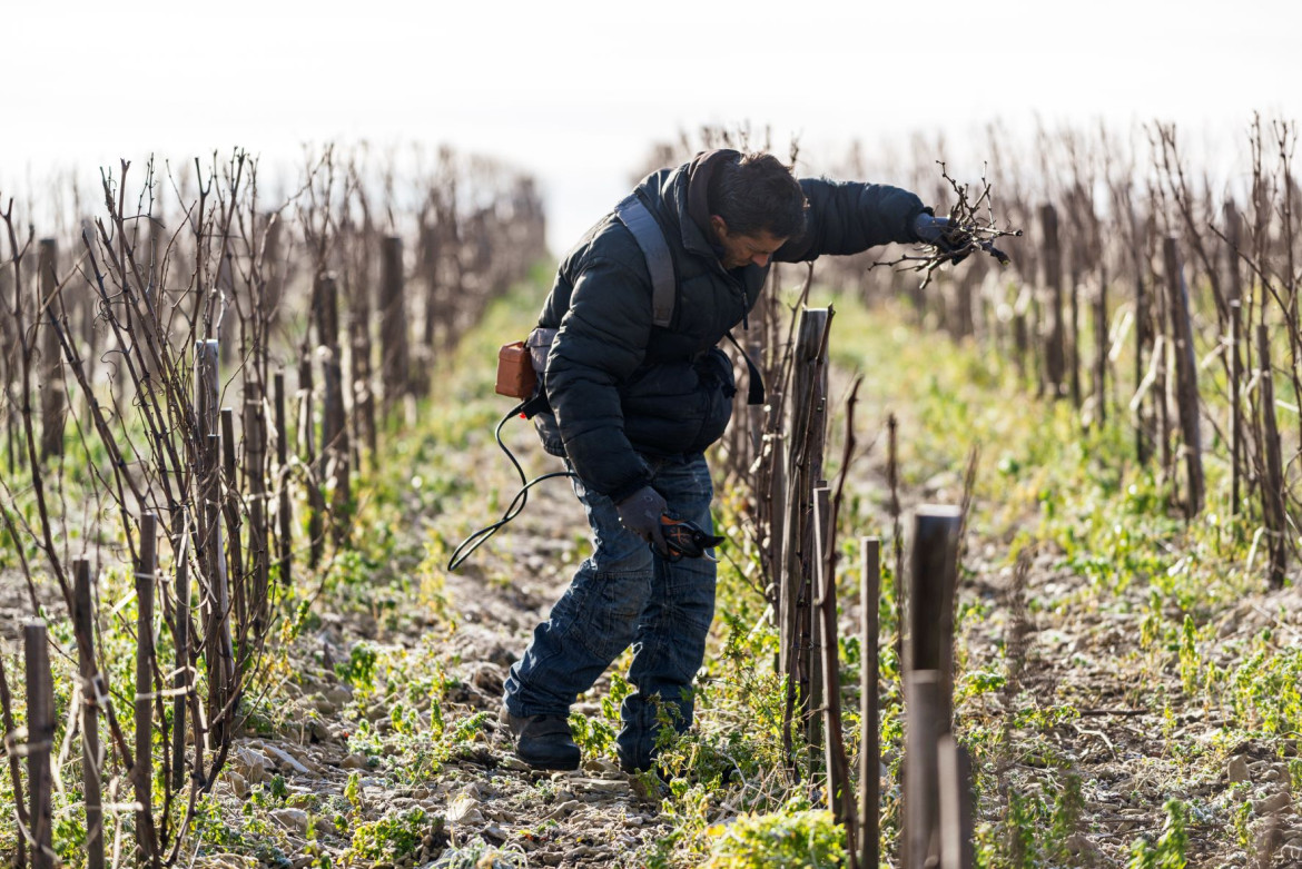 Découvrez les Vins du Centre-Loire ! Site Officiel