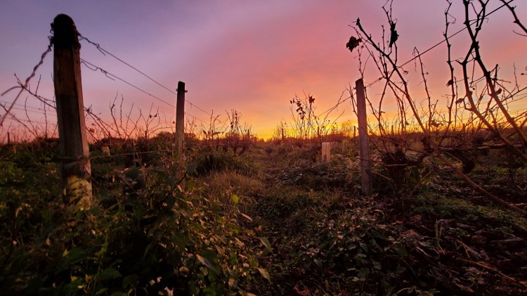 Domaine de Villalin - Découvrez les Vins du Centre-Loire ! Site Officiel