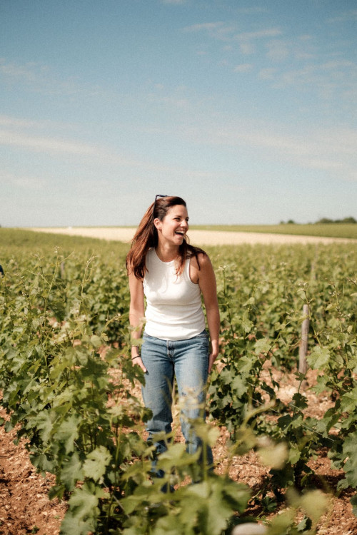 Régis Minet - Découvrez les Vins du Centre-Loire ! Site Officiel