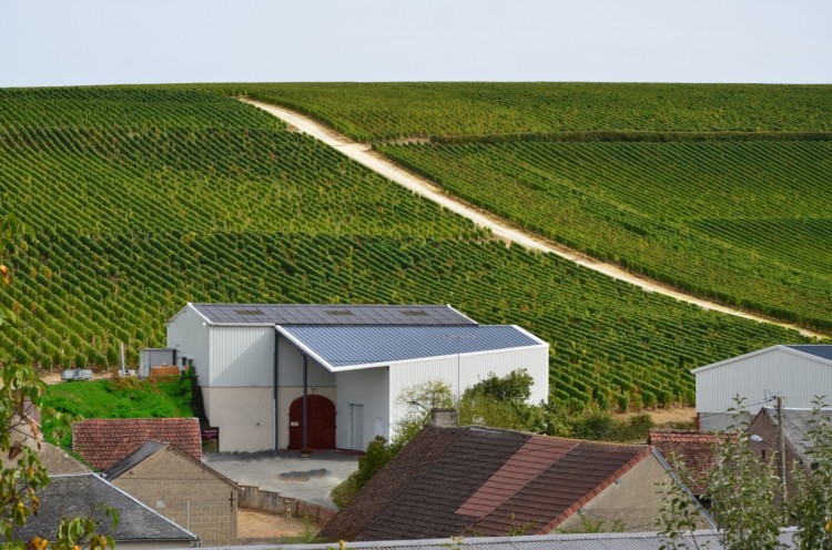 Daniel Reverdy et Fils - Découvrez les Vins du Centre-Loire ! Site Officiel