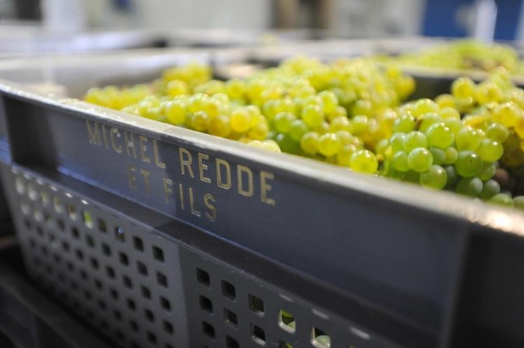 Michel Redde et Fils - Découvrez les Vins du Centre-Loire ! Site Officiel