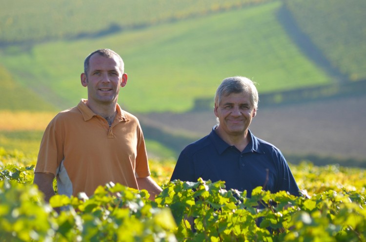 Daniel Reverdy et Fils - Découvrez les Vins du Centre-Loire ! Site Officiel