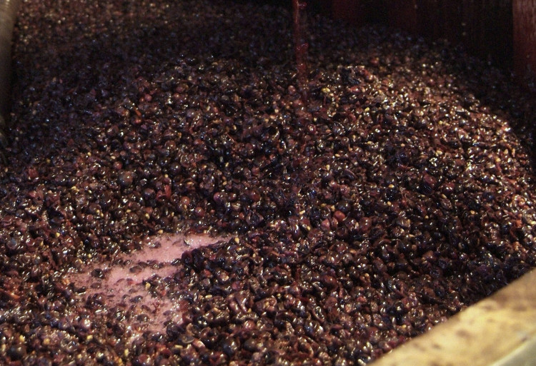 Vinification en Centre-Loire