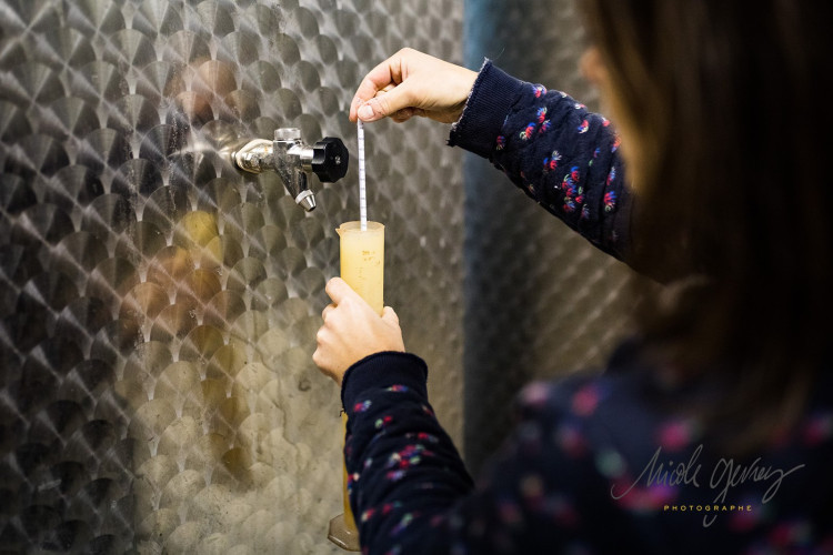 Vinification en Centre-Loire
